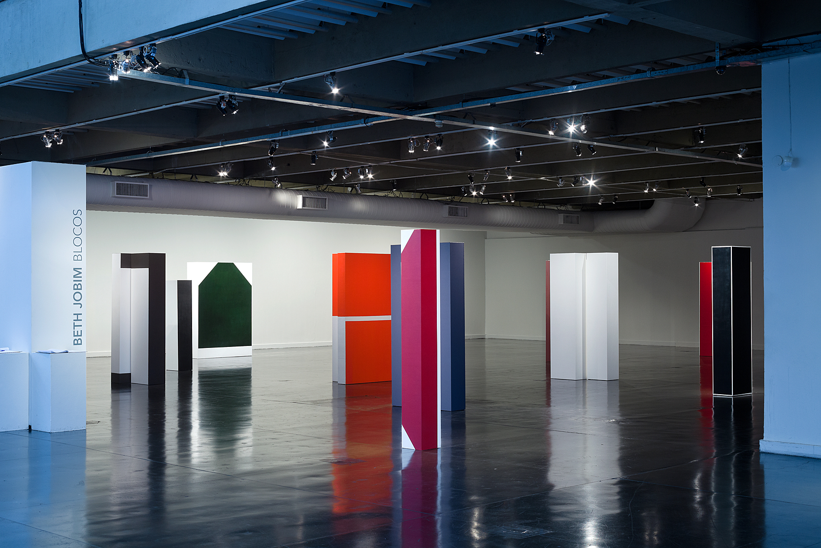 elizabeth jobim - Galeria Raquel Arnaud